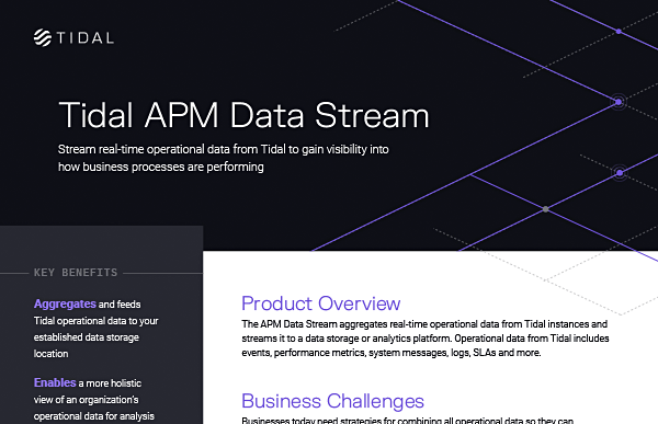 Overview of Tidal APM Data Stream